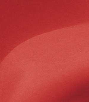 Women's Bras – Bench Online